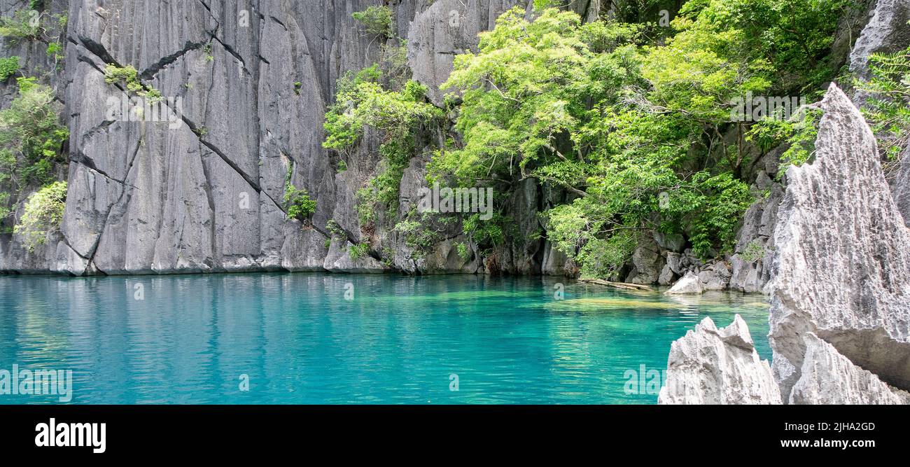 Pristine water at Barracuda Lake, Coron, Palawan. Surrounded by ...