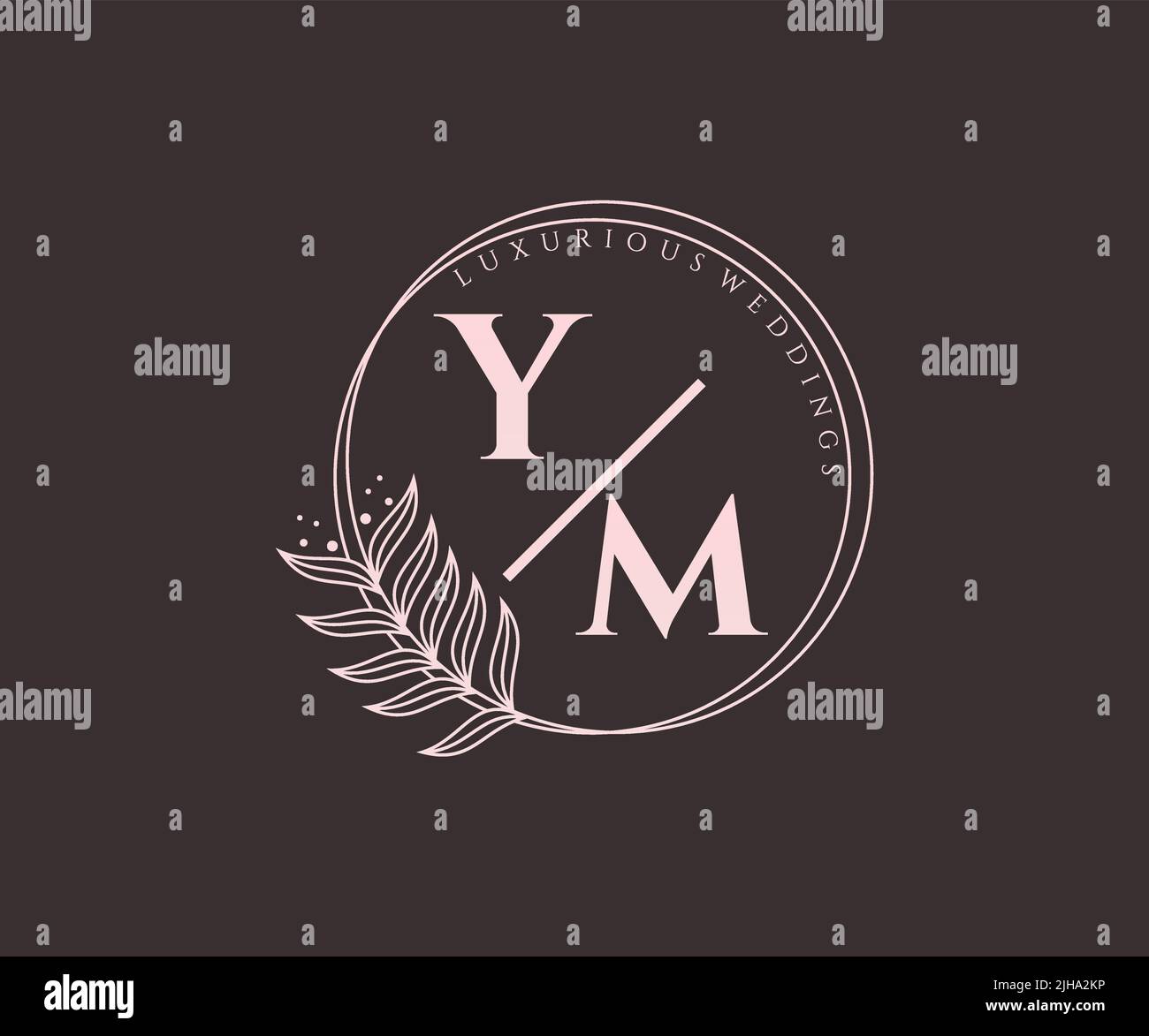 YM Initials letter Wedding monogram logos template, hand drawn modern minimalistic and floral ...