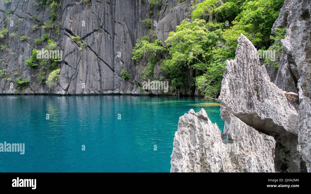 Pristine water at Barracuda Lake, Coron, Palawan. Surrounded by ...