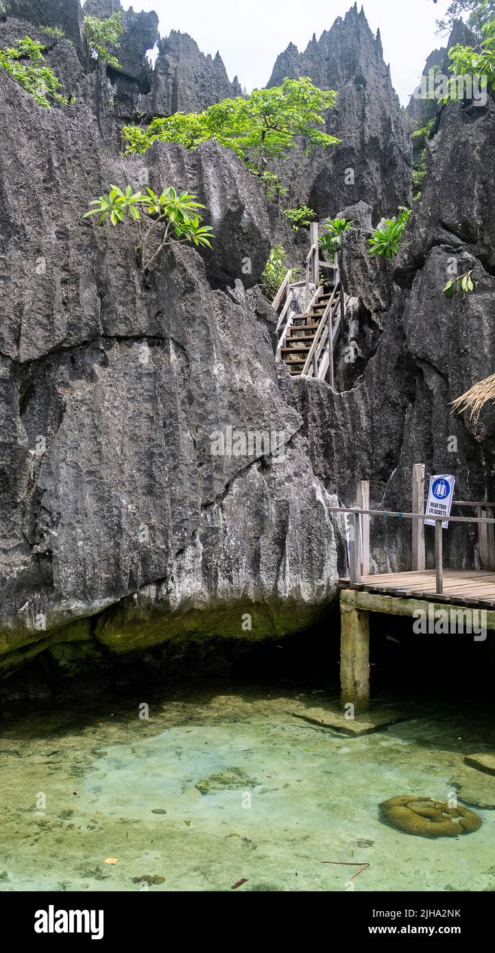 Pristine water at Barracuda Lake, Coron, Palawan. Surrounded by ...