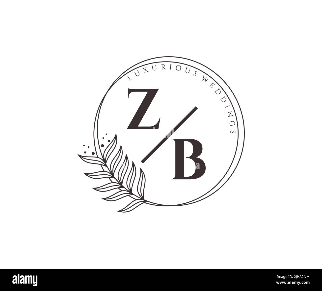 Zb logos Cut Out Stock Images & Pictures - Alamy
