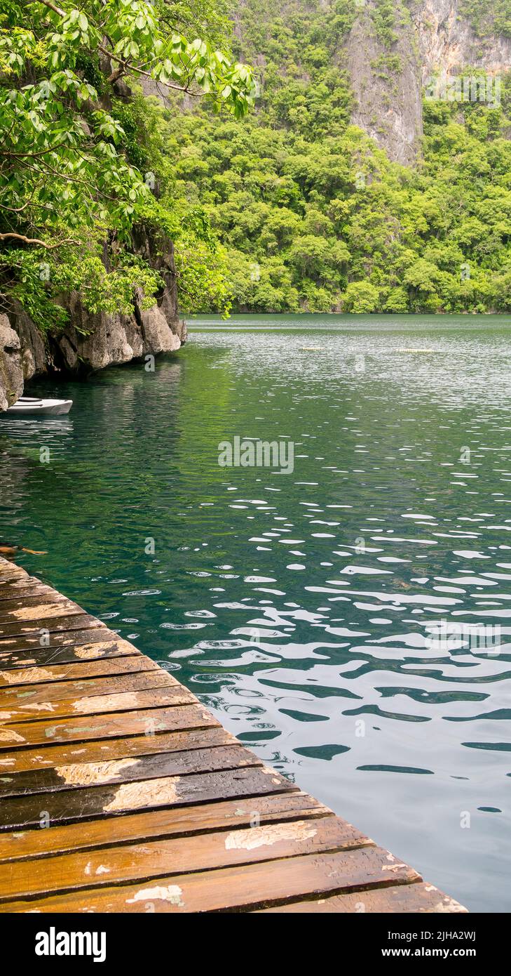 Pristine water at Barracuda Lake, Coron, Palawan. Surrounded by ...
