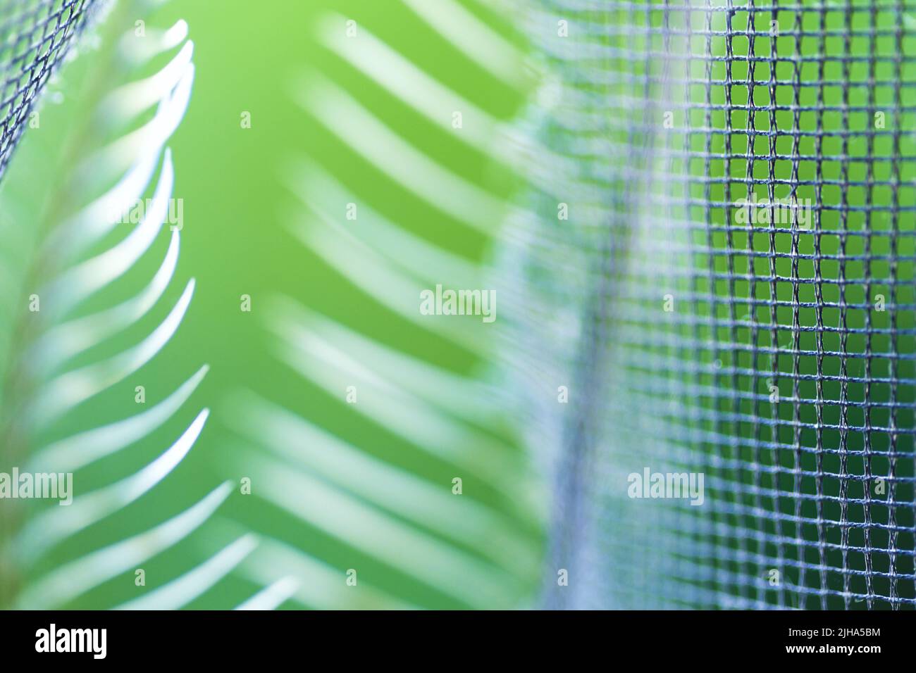 Abstract background with green accent. Defocused background with ...