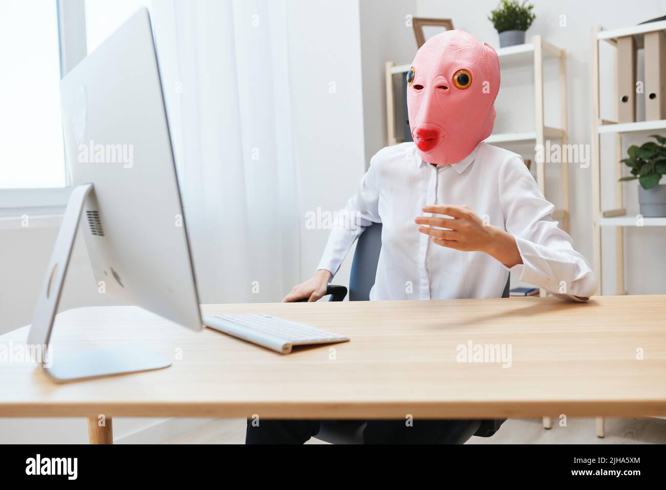 Data analyst funny hi-res stock photography and images - Alamy