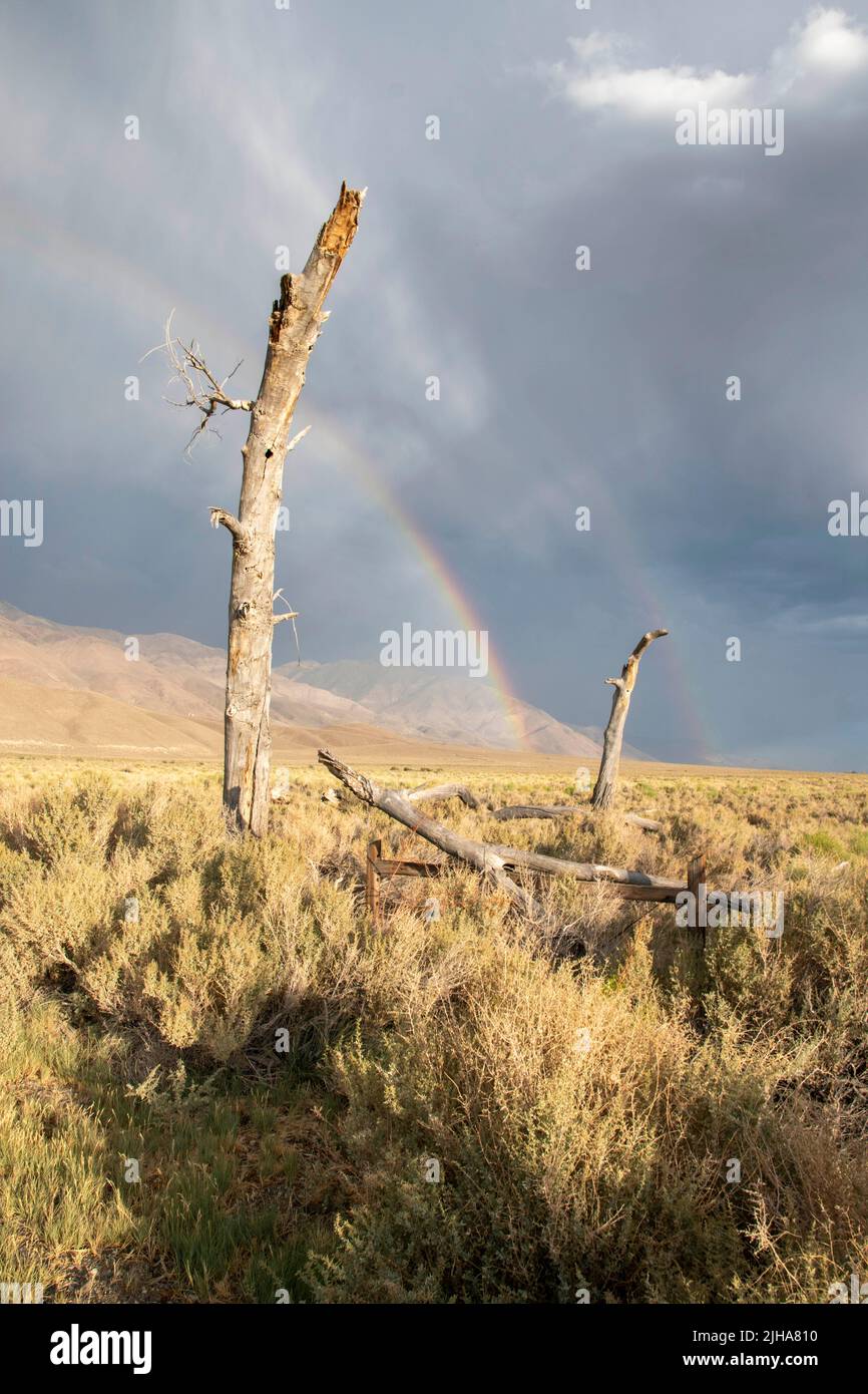 Thunderstorms around Bishop and the Eastern Sierra of California ...