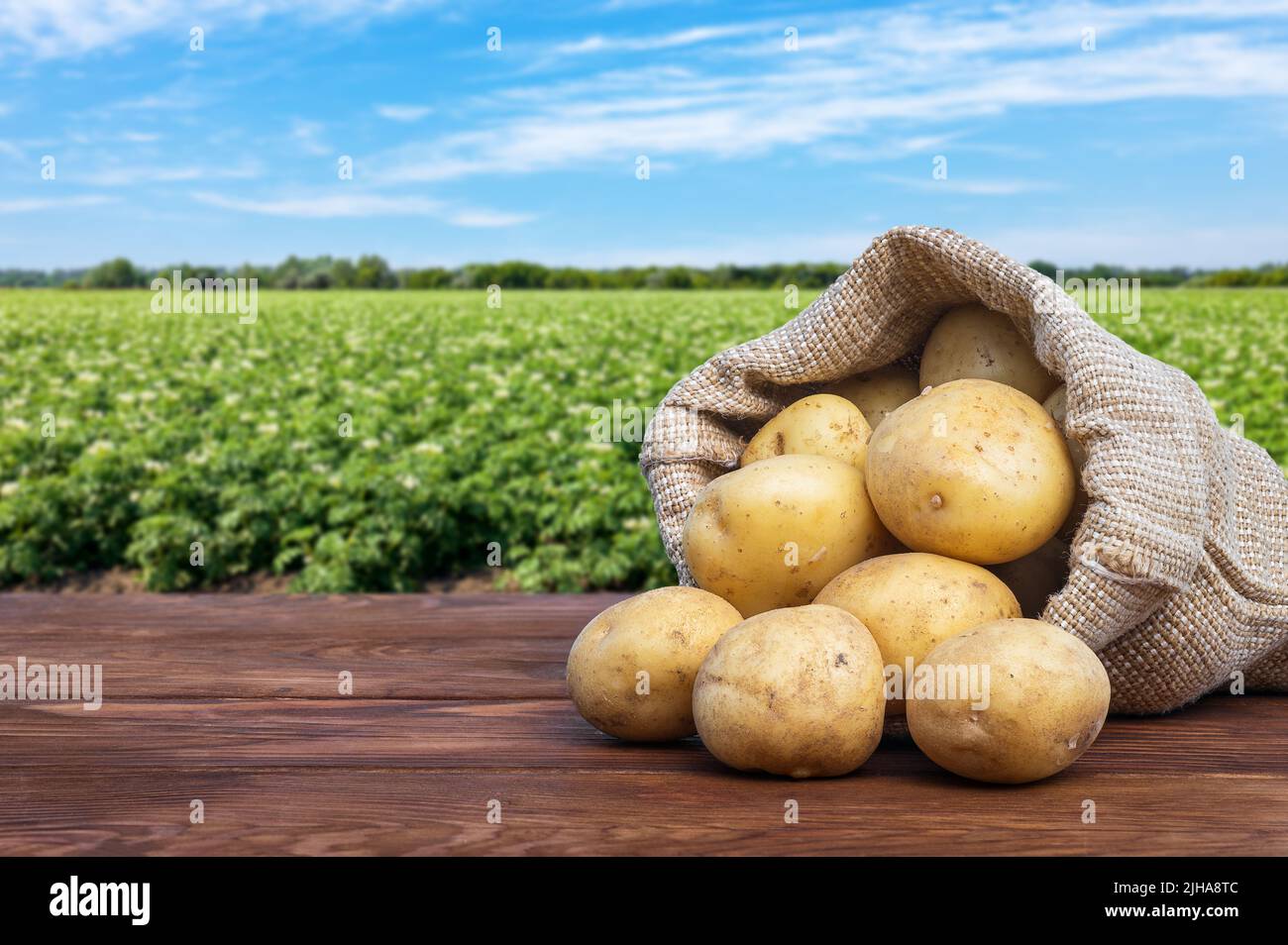 Potato sack hi-res stock photography and images - Alamy