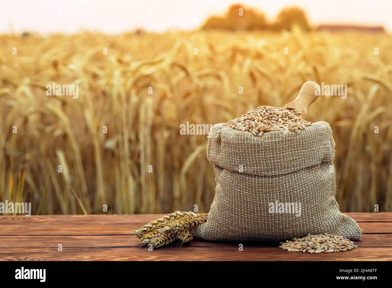 Sack of wheat hi-res stock photography and images - Alamy