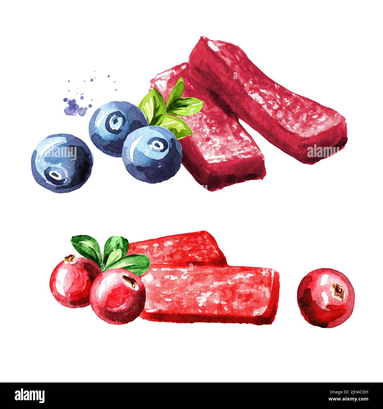 Homemade forest berries marmalade, jam, jelly set. Hand drawn ...