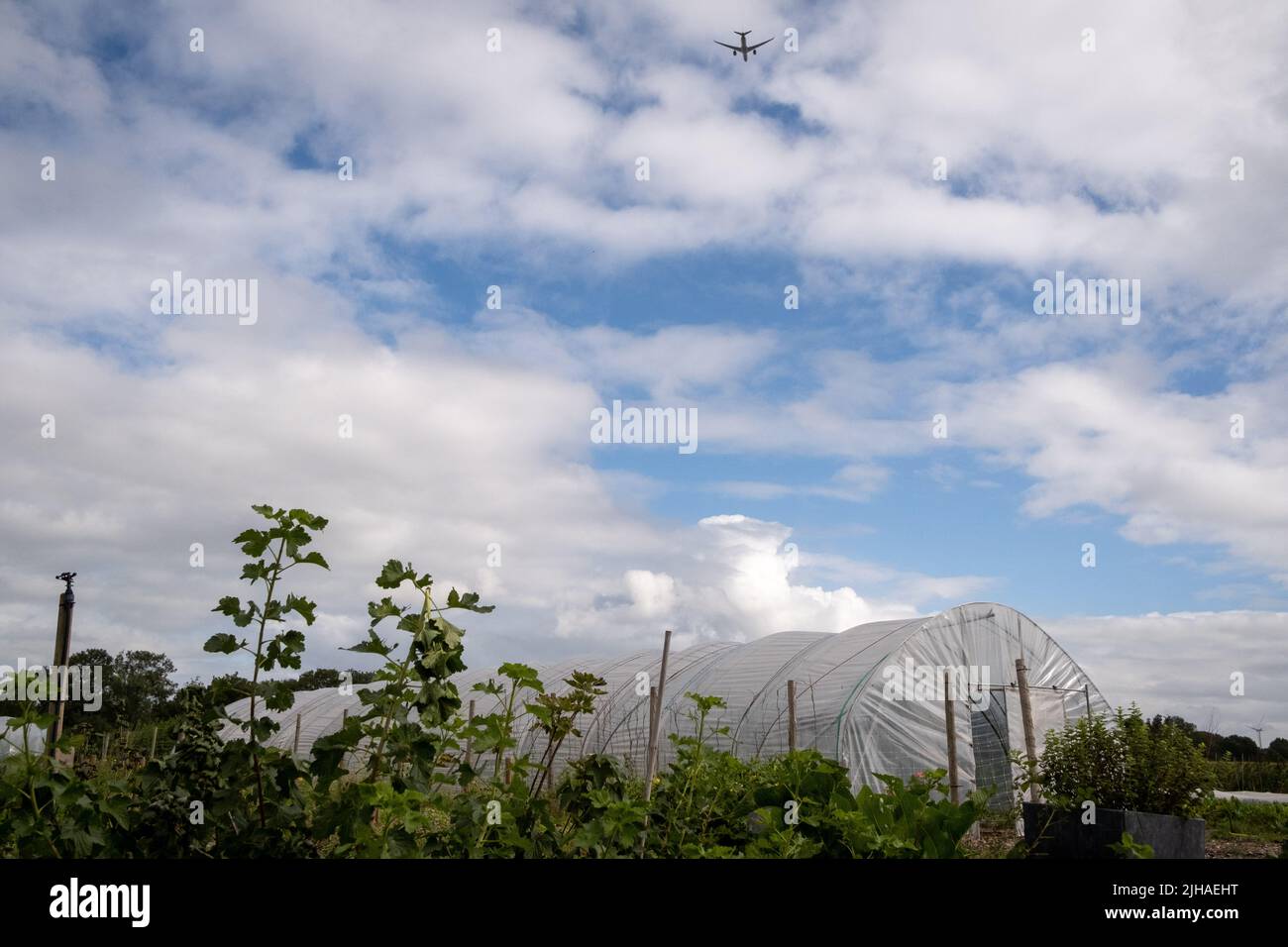Bio intensive farming hi-res stock photography and images - Alamy