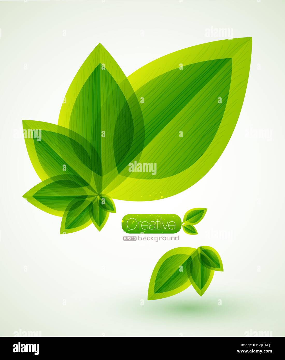 Vector natural abstract background with green leaves Stock Vector Image ...