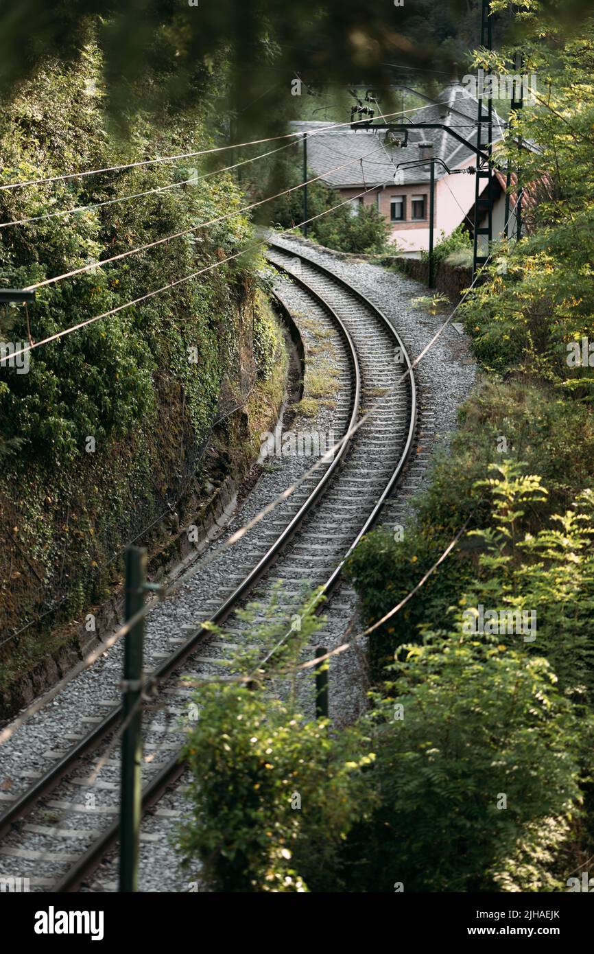 Single-track railway turns among green trees in countryside Stock Photo - Alamy