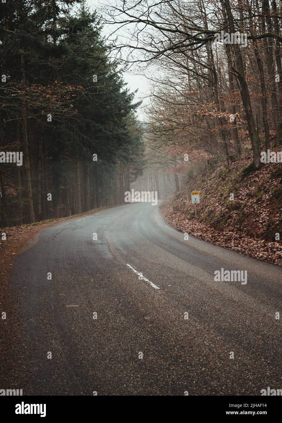 A vertical shot of a countryside road surrounded by fall colors in ...