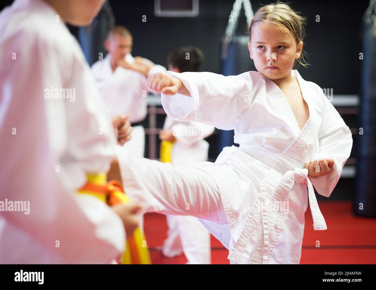 Children working in pair mastering new karate moves during group class ...