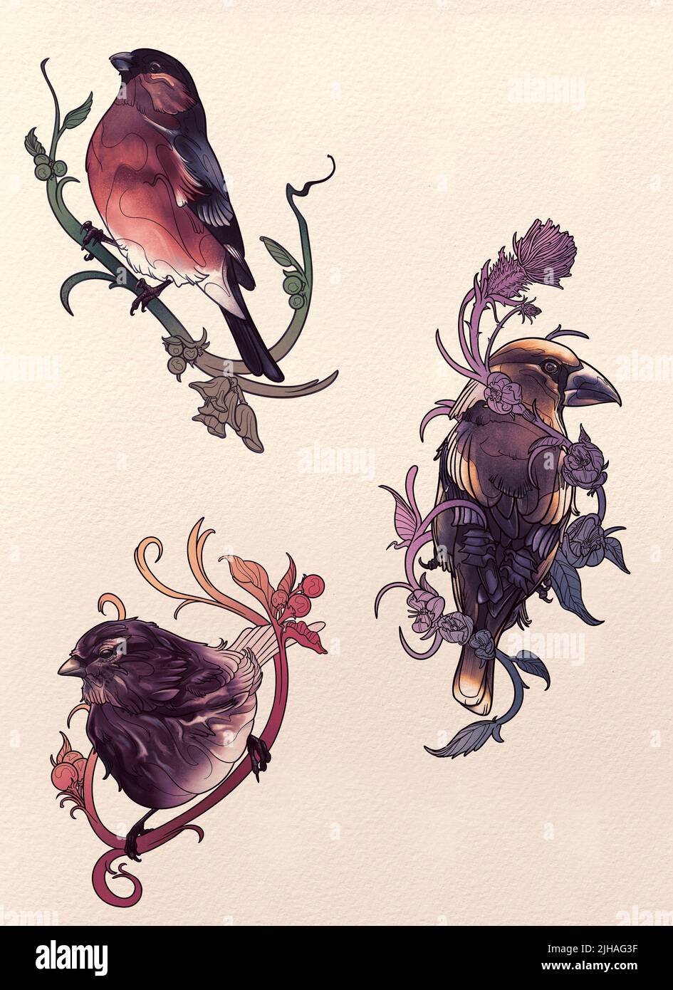 Traditional Bird Tattoo Flash