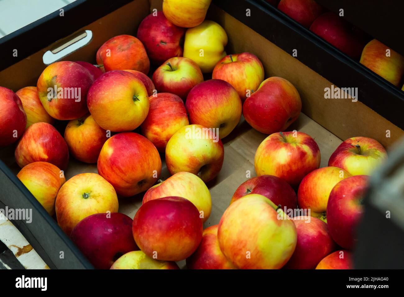 Fresh apples on the counter in supermarket, nobody Stock Photo - Alamy