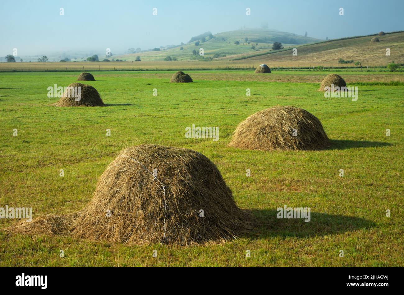 small haystacks in summer mountain landscape with mist in the southern ...