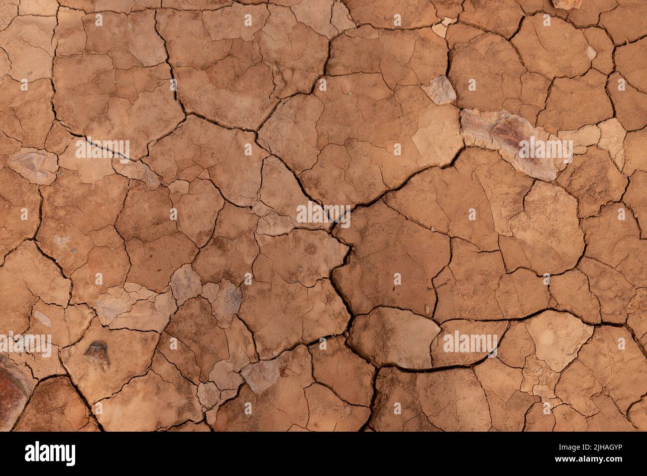 Dry soil conditions hi-res stock photography and images - Alamy