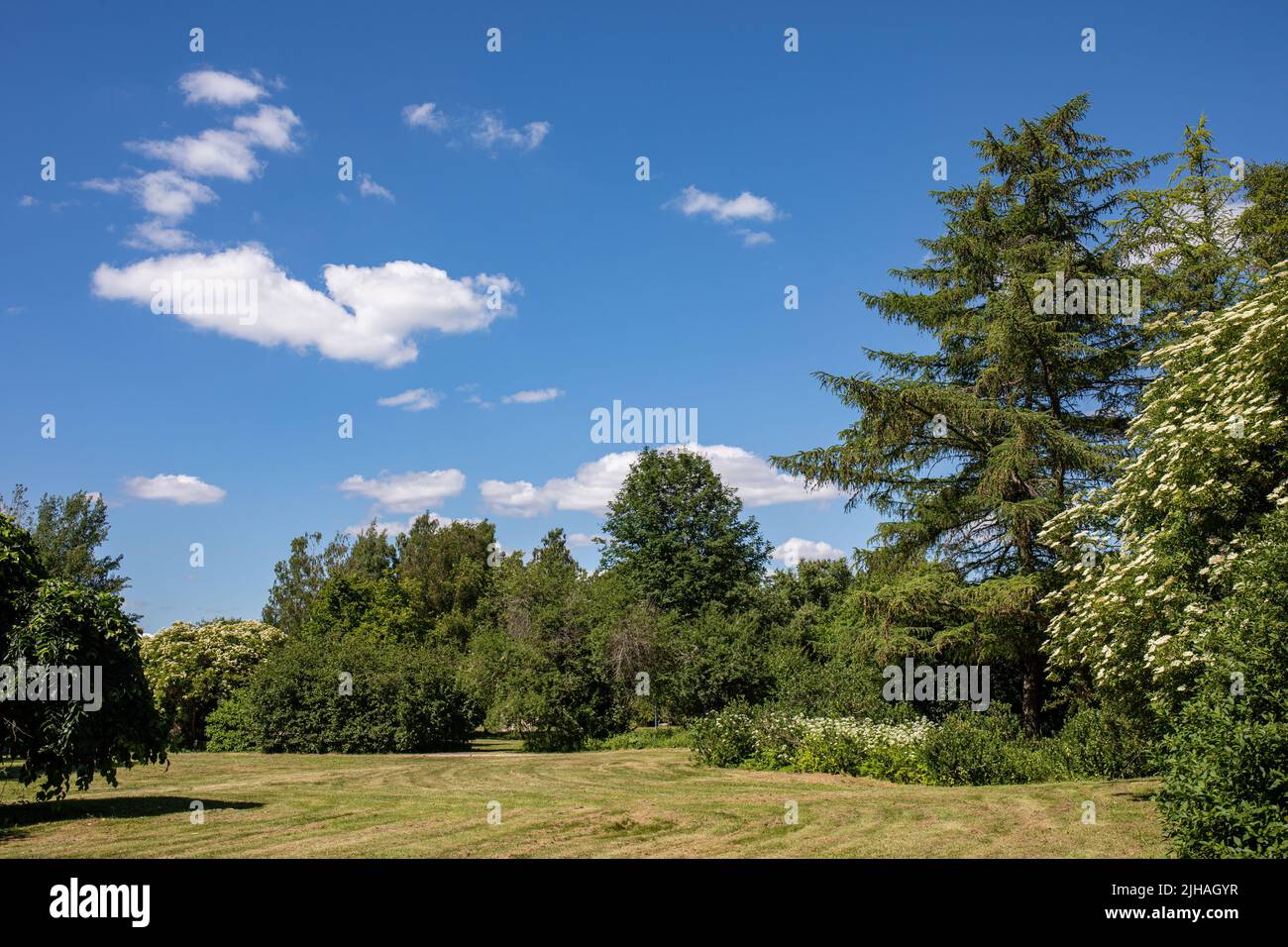 Meilahden arboretum hi-res stock photography and images - Alamy
