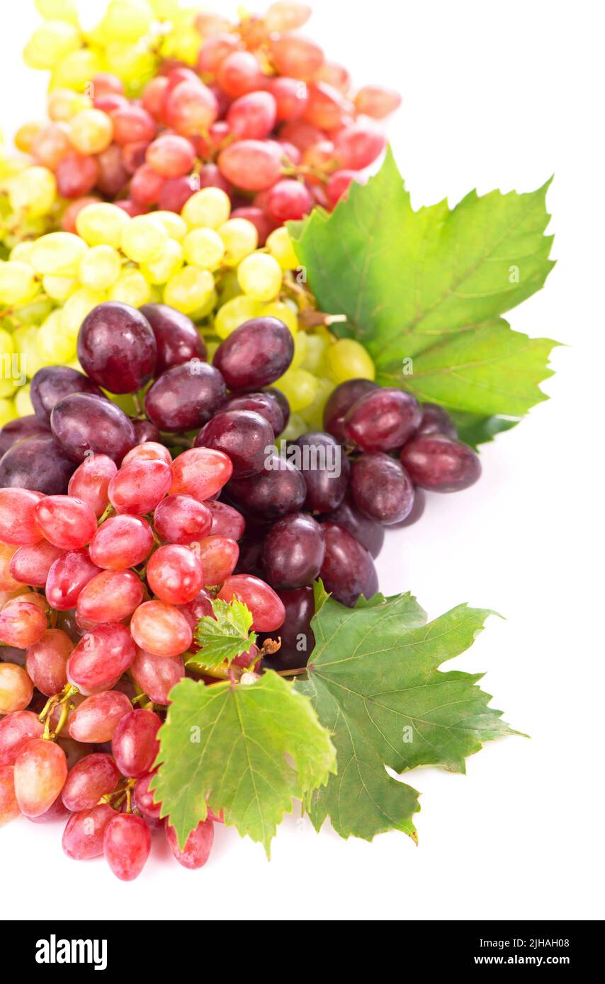 Fulldepthoffield hi-res stock photography and images - Alamy