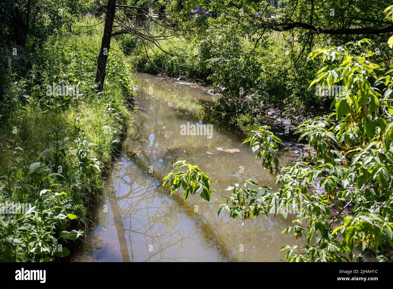 Brook creek hi-res stock photography and images - Alamy