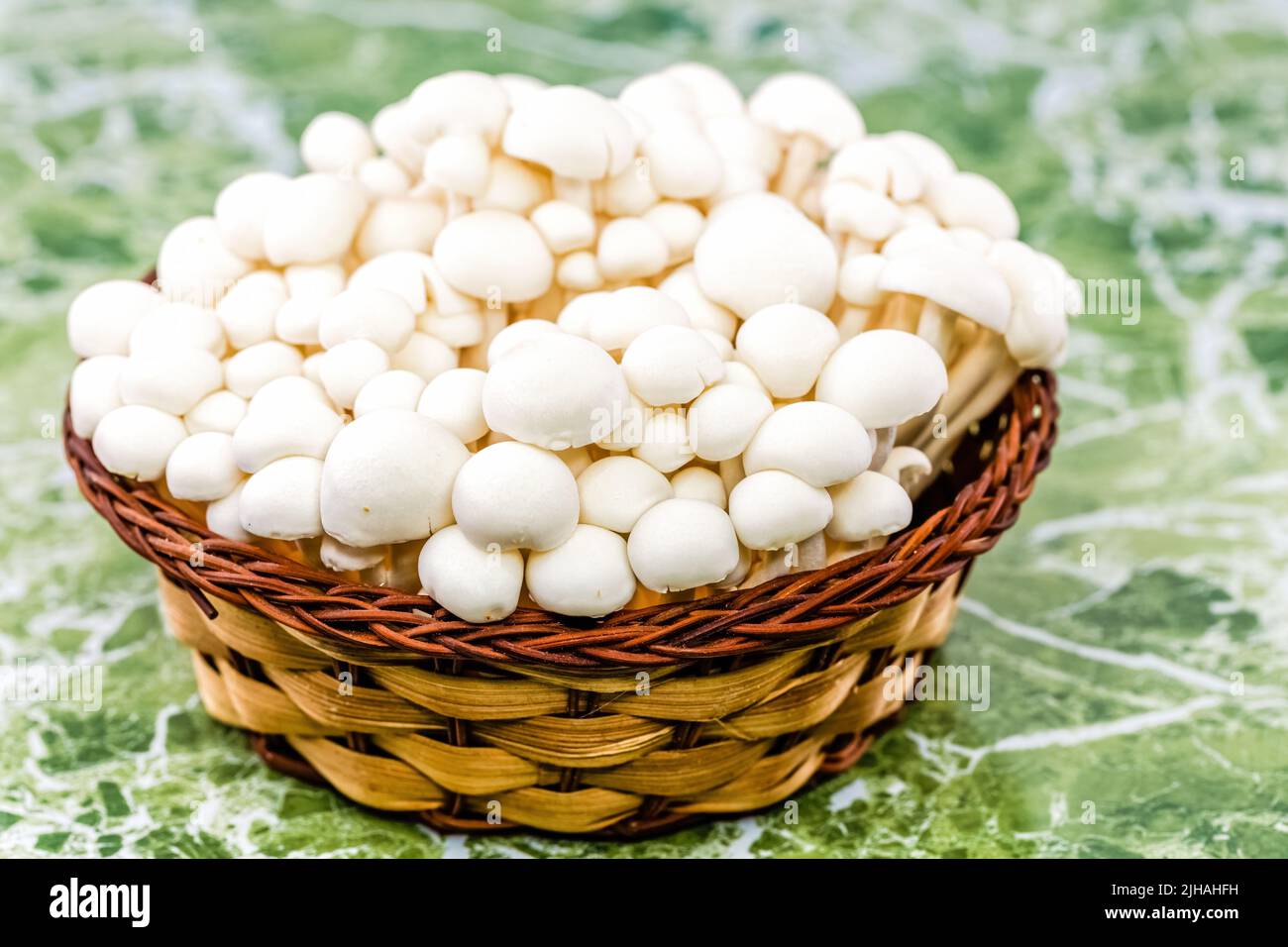 Bunch of fresh raw white Japanese Bunapi Mushrooms in the kitchen Stock ...