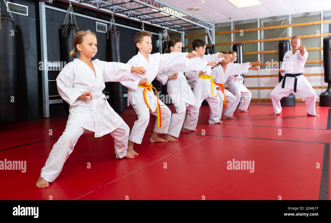 Children wearing karate uniform fighters poses in kimono, group ...