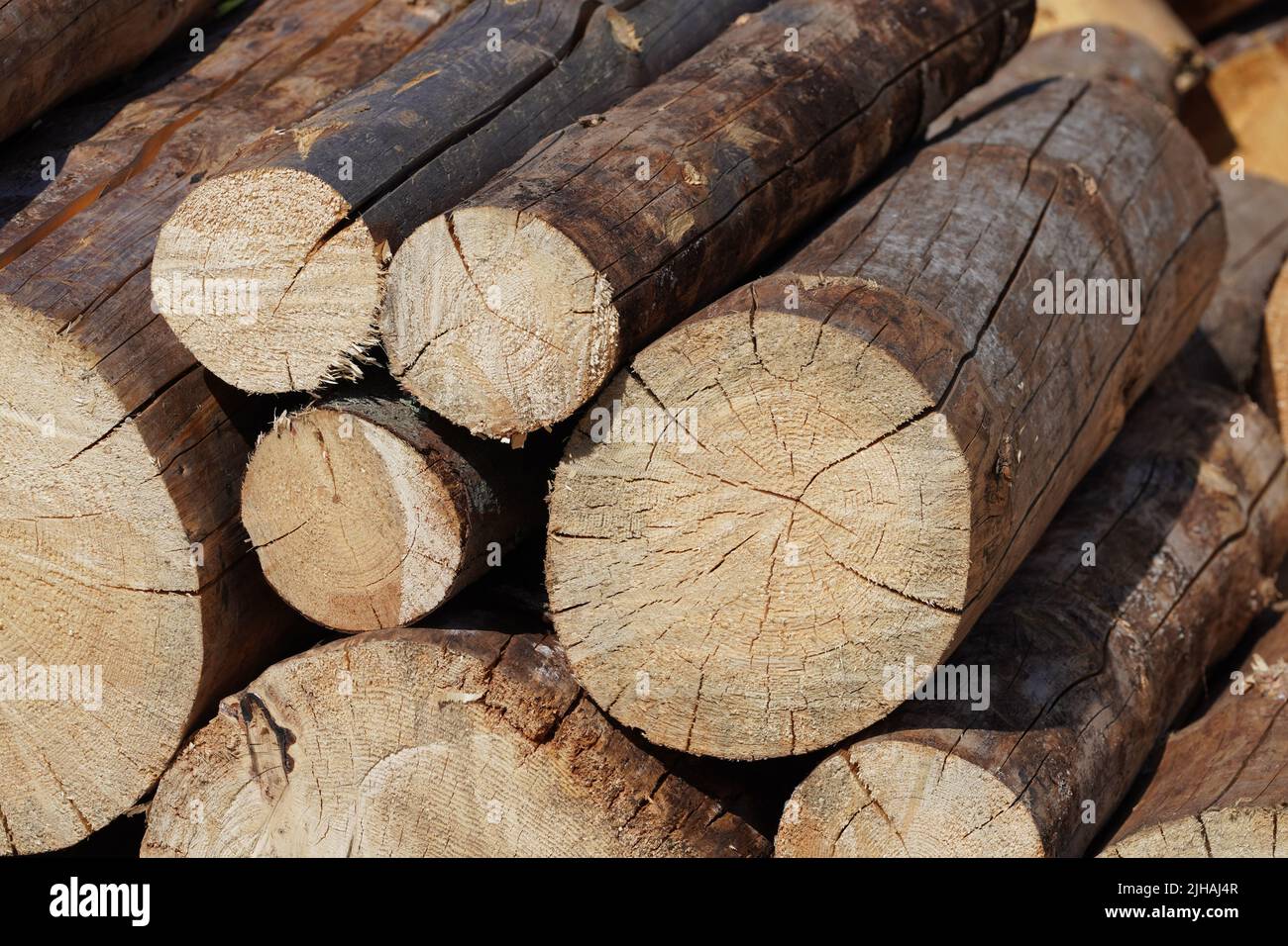 Cut wood logs hi-res stock photography and images - Alamy