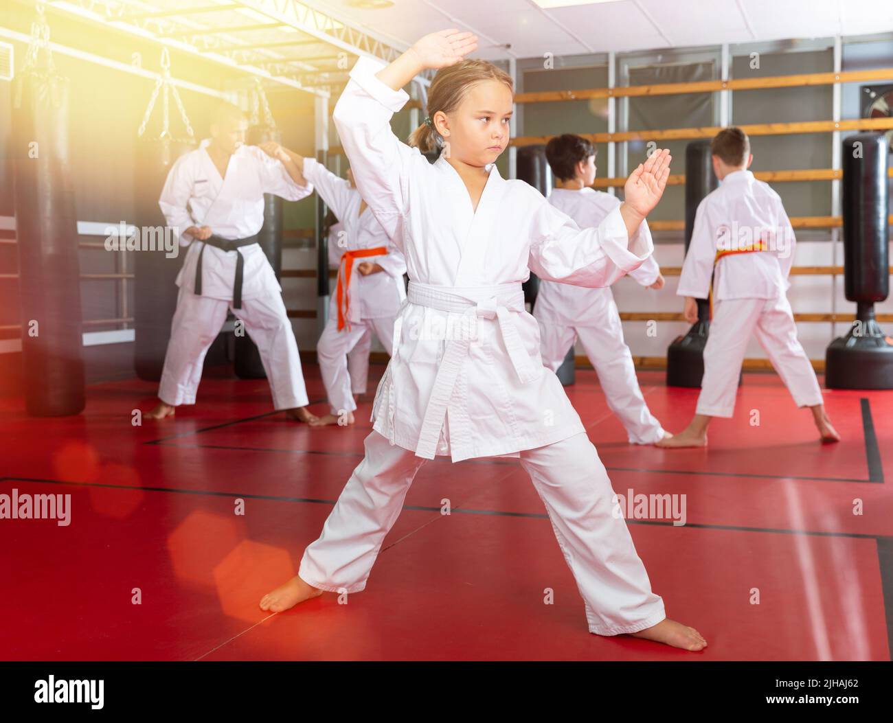 Girl fighting karate stand in the gym. Children in pair practice karate ...