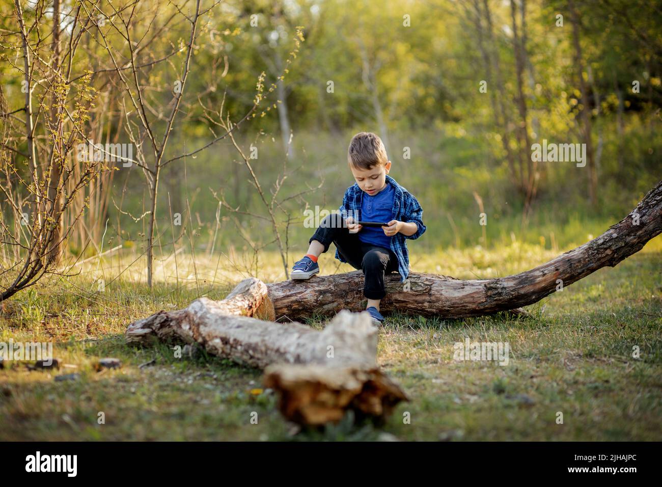 Cheerful child sitting on a fallen tree, watching cartoons on the phone ...