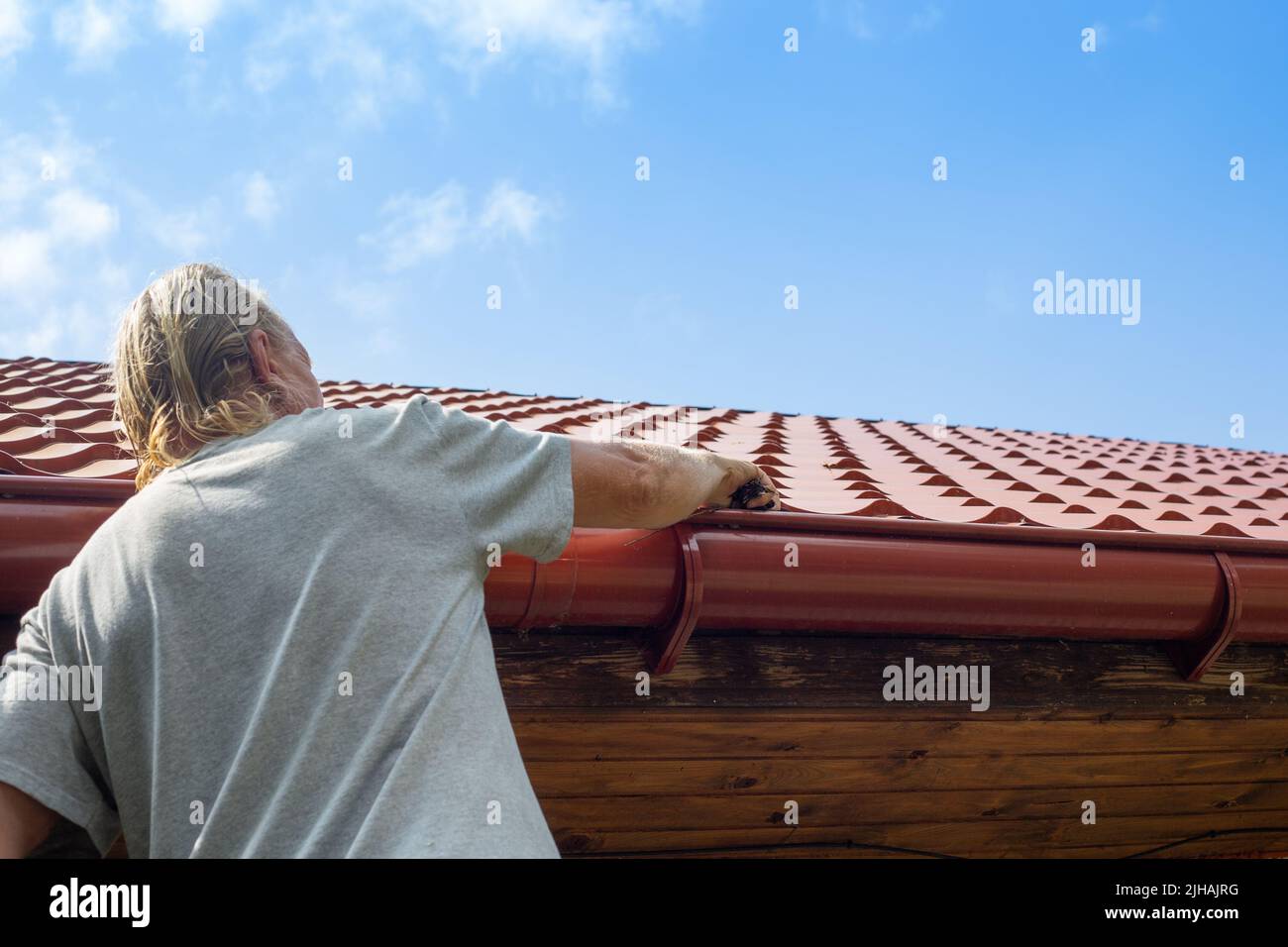 A man cleans the gutter of a drainpipe from dry leaves and debris ...