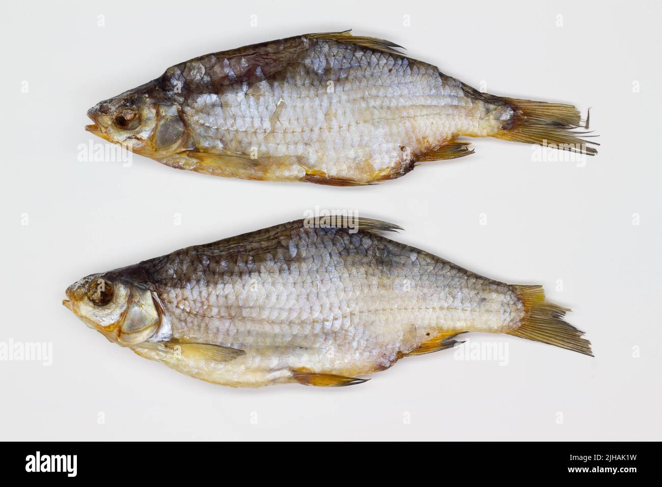 Dried fish on white background. Big dried sea roach. Salted vobla from ...