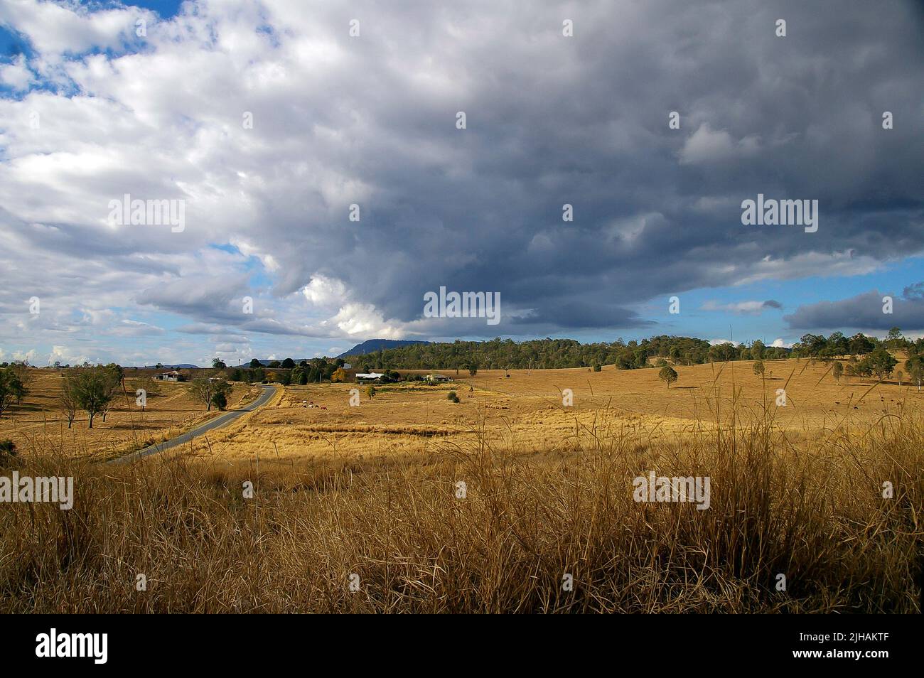 Tamborine Mountain seen from grassy farmland, inland to the west. Dry ...