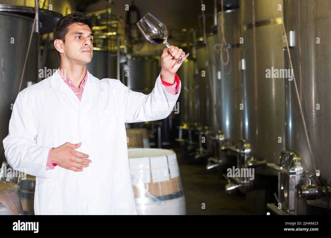Professional male sommelier checking hi-res stock photography and ...