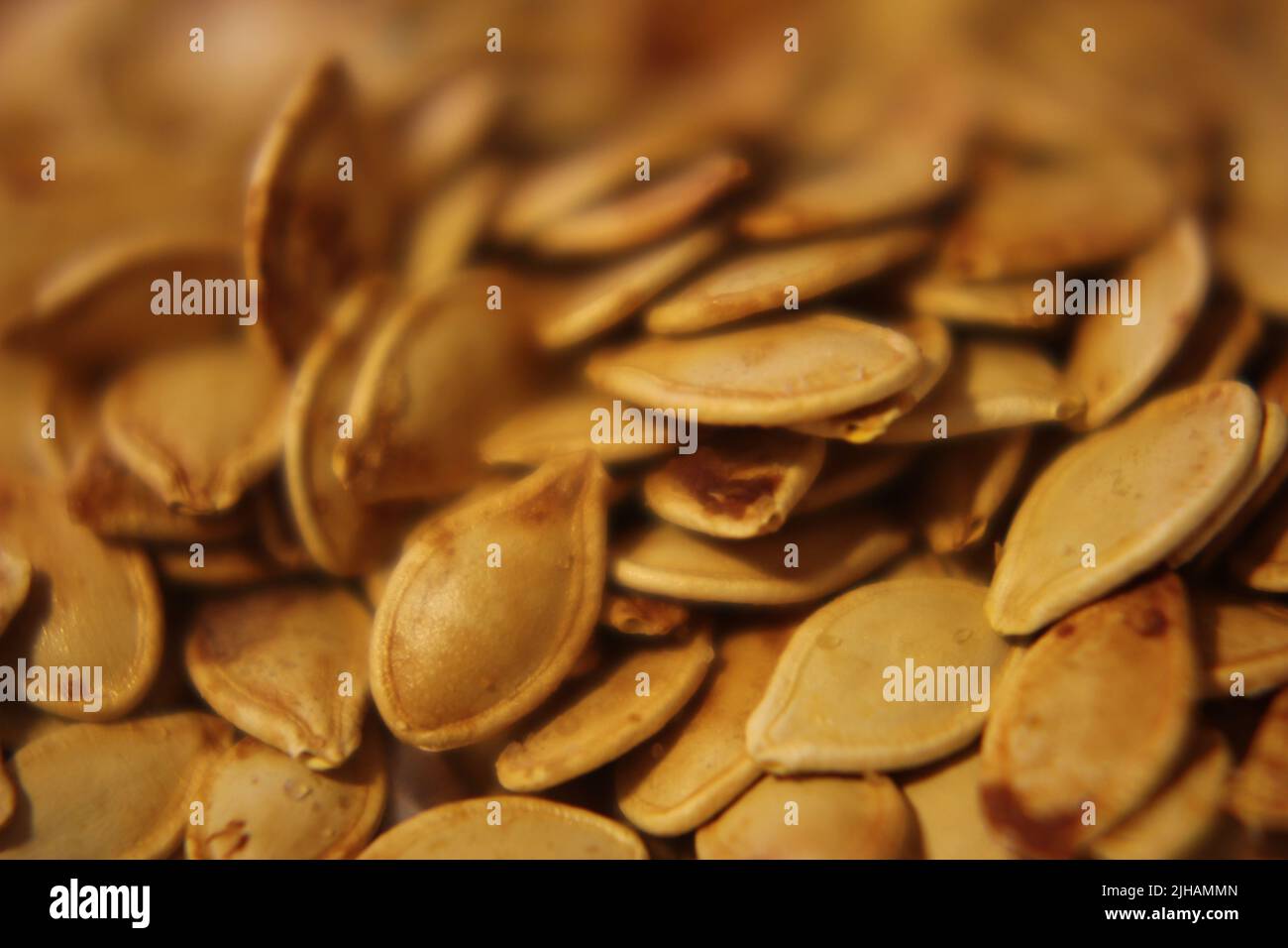 A shallow focus shot of fried pumpkin seeds Stock Photo - Alamy