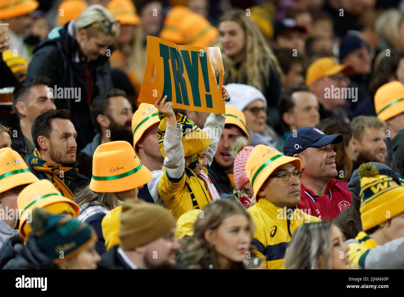 SYDNEY, AUSTRALIA - JULY 16: Wallabies fans celebrate a try during game ...