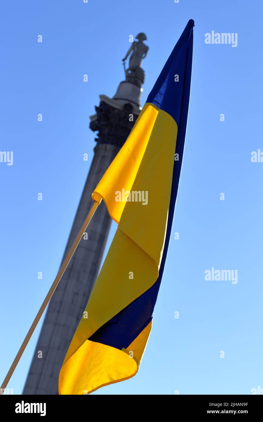 Ukrainian flag in Trafalgar square of London Stock Photo - Alamy