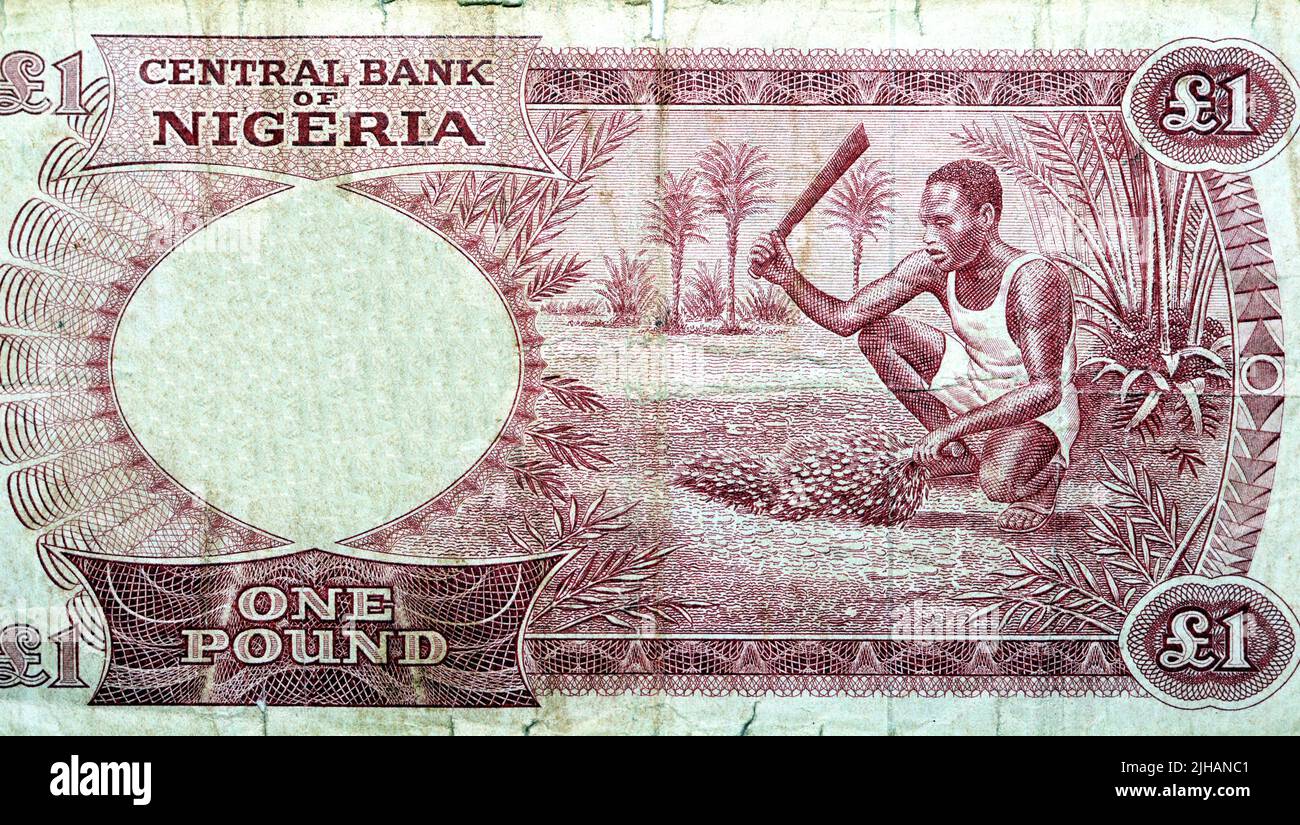 Large fragment of the reverse side of an old Nigerian 1 one pound that ...