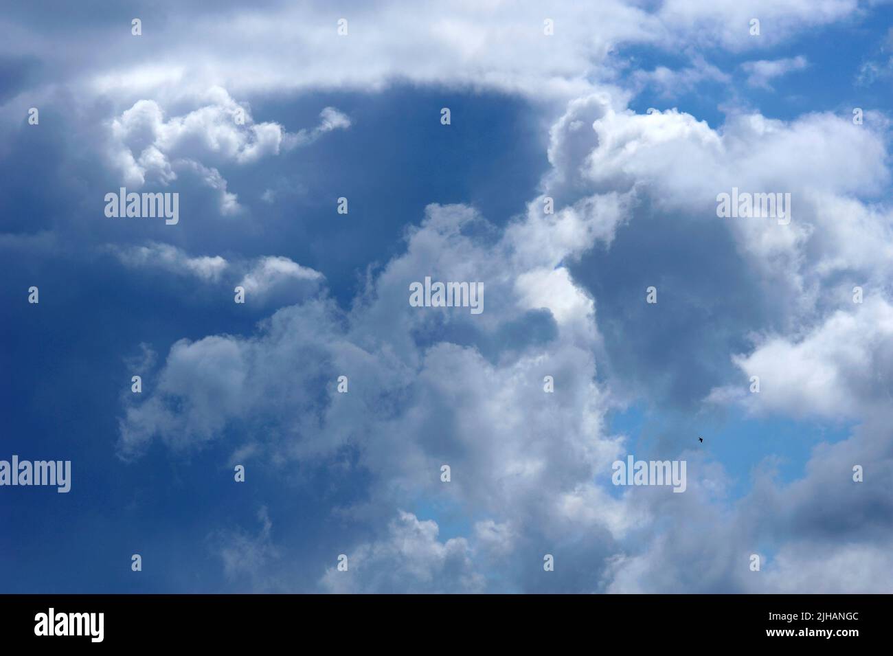 air, atmosphere, blue, climate, clouds, cumulus, nature, season, sky ...