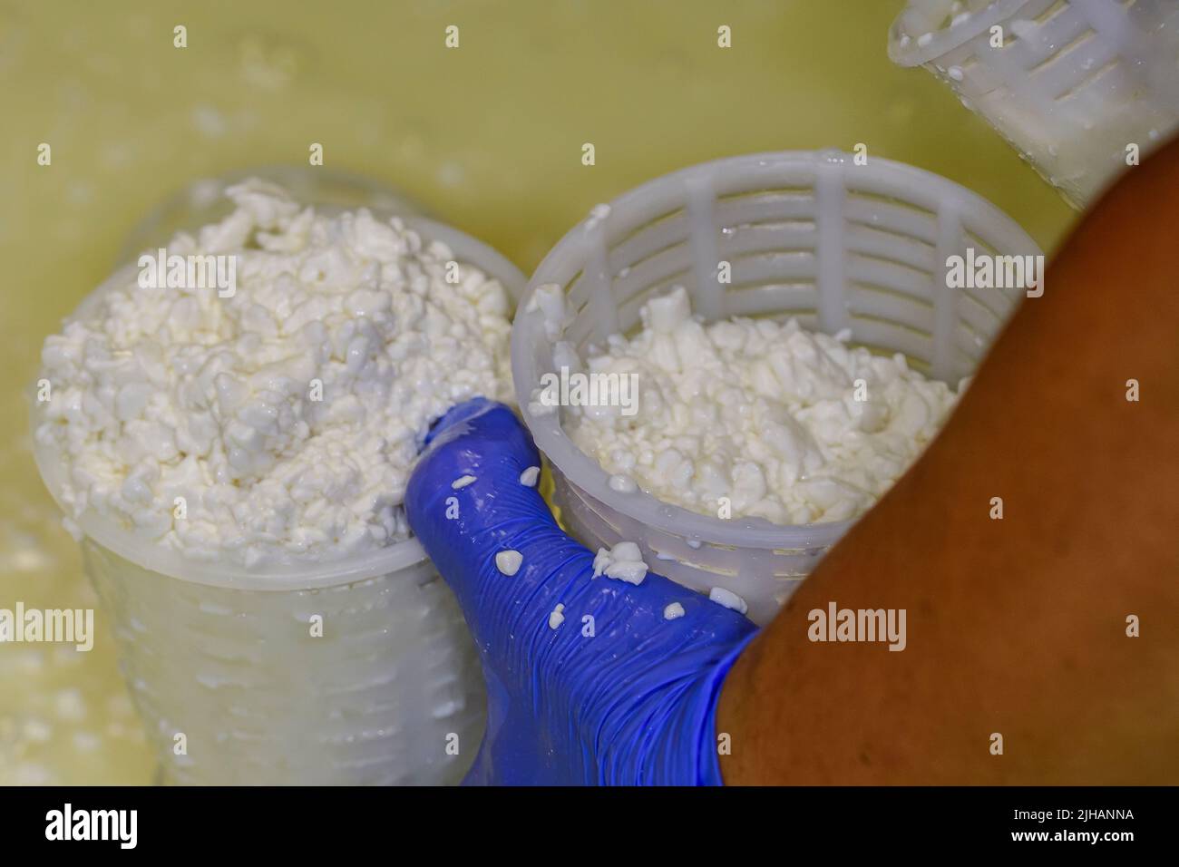 Artisan production of fresh goat's milk cheese Stock Photo - Alamy