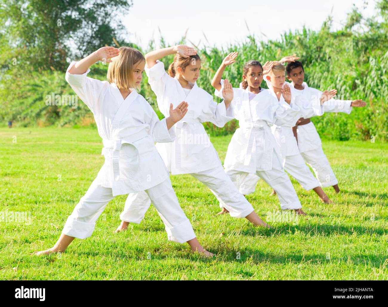 Karate group in kimono, workout in summer field. Martial art training ...