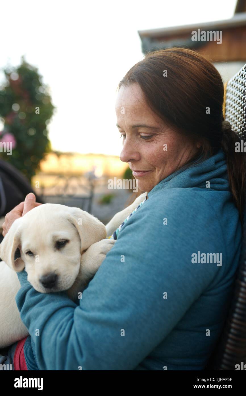 Adorable little puppy lying resting on its owners lap indoors at home ...