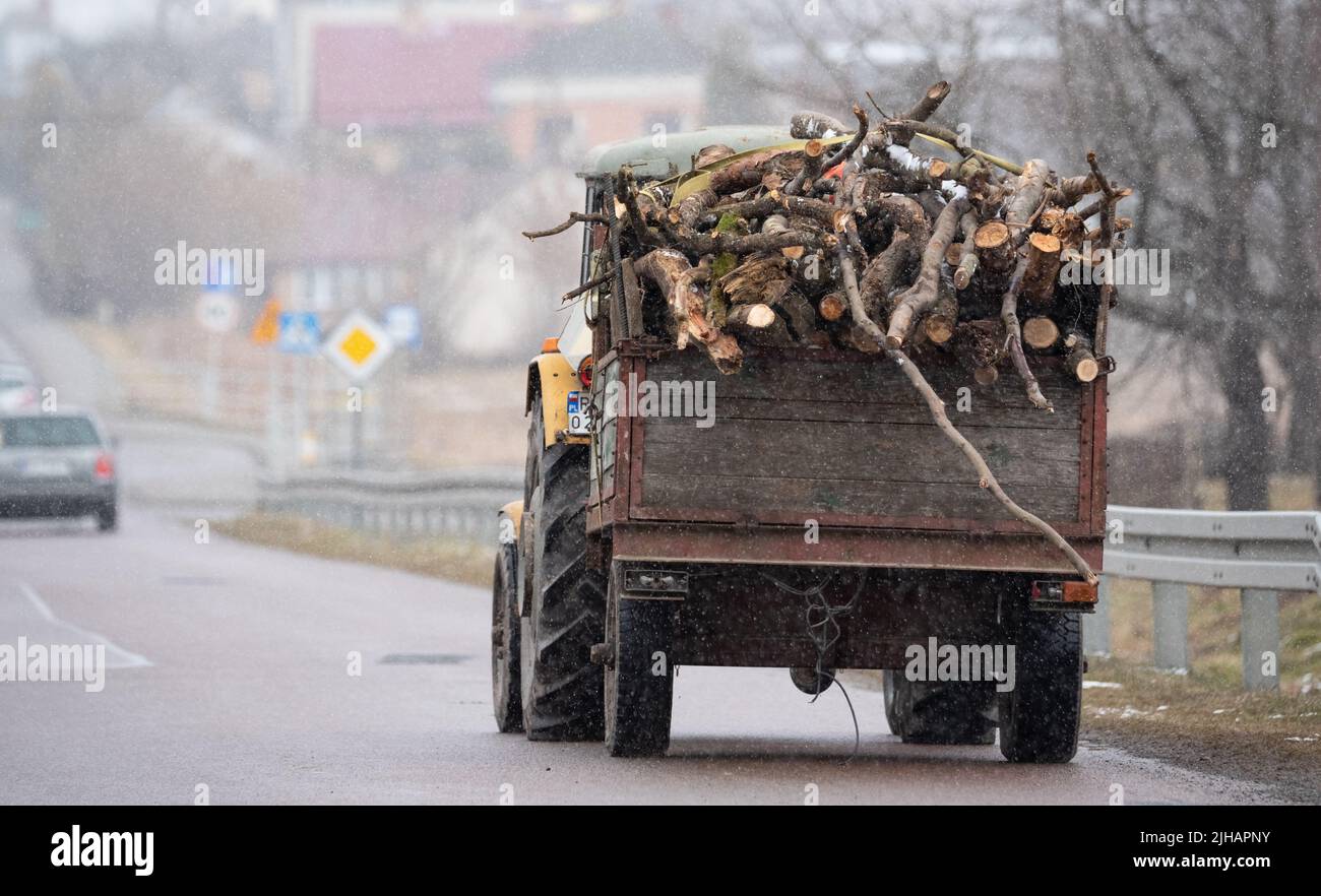 Tractor with a trailer loaded with wood on the road during snowfall ...