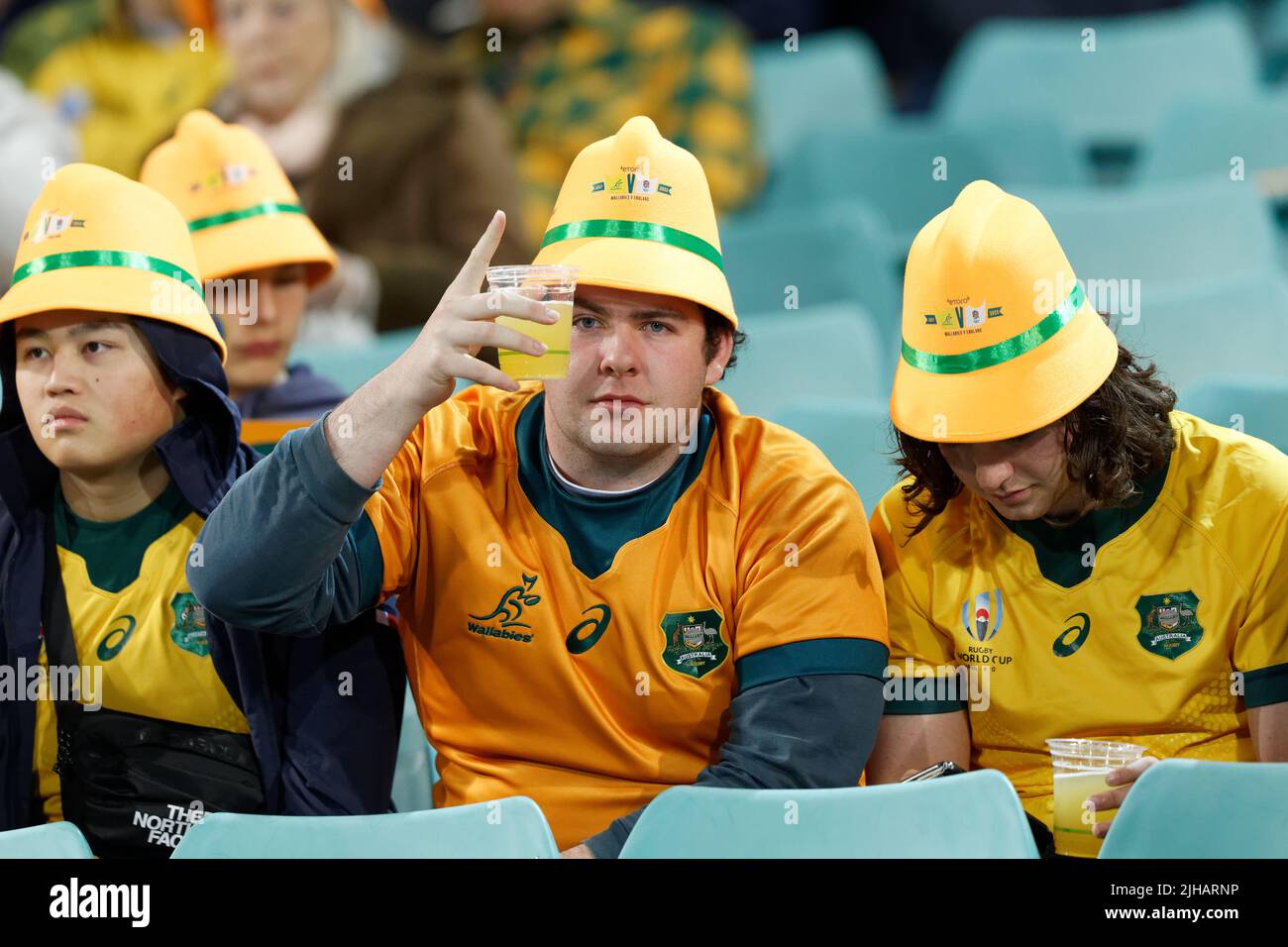 SYDNEY, AUSTRALIA - JULY 16: Wallabies fans in the crowd before game ...