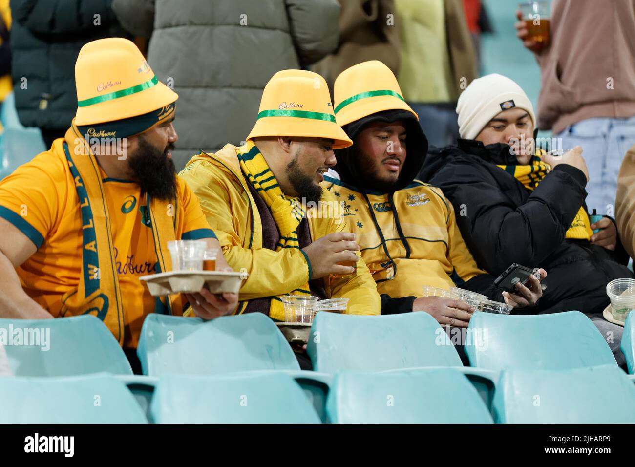 SYDNEY, AUSTRALIA - JULY 16: Wallabies fans in the crowd before game ...