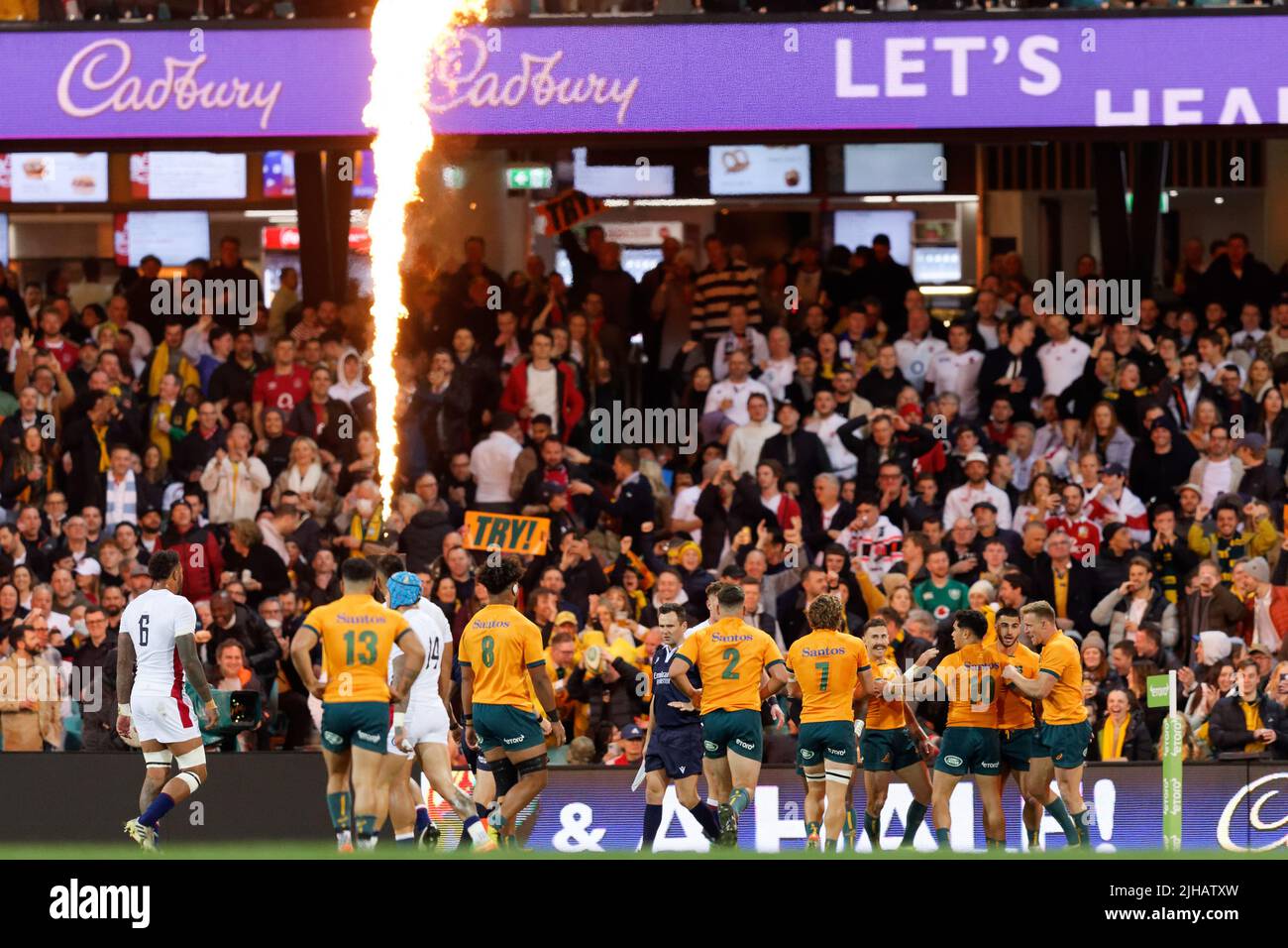 Rugby test in sydney crowd hi-res stock photography and images - Alamy