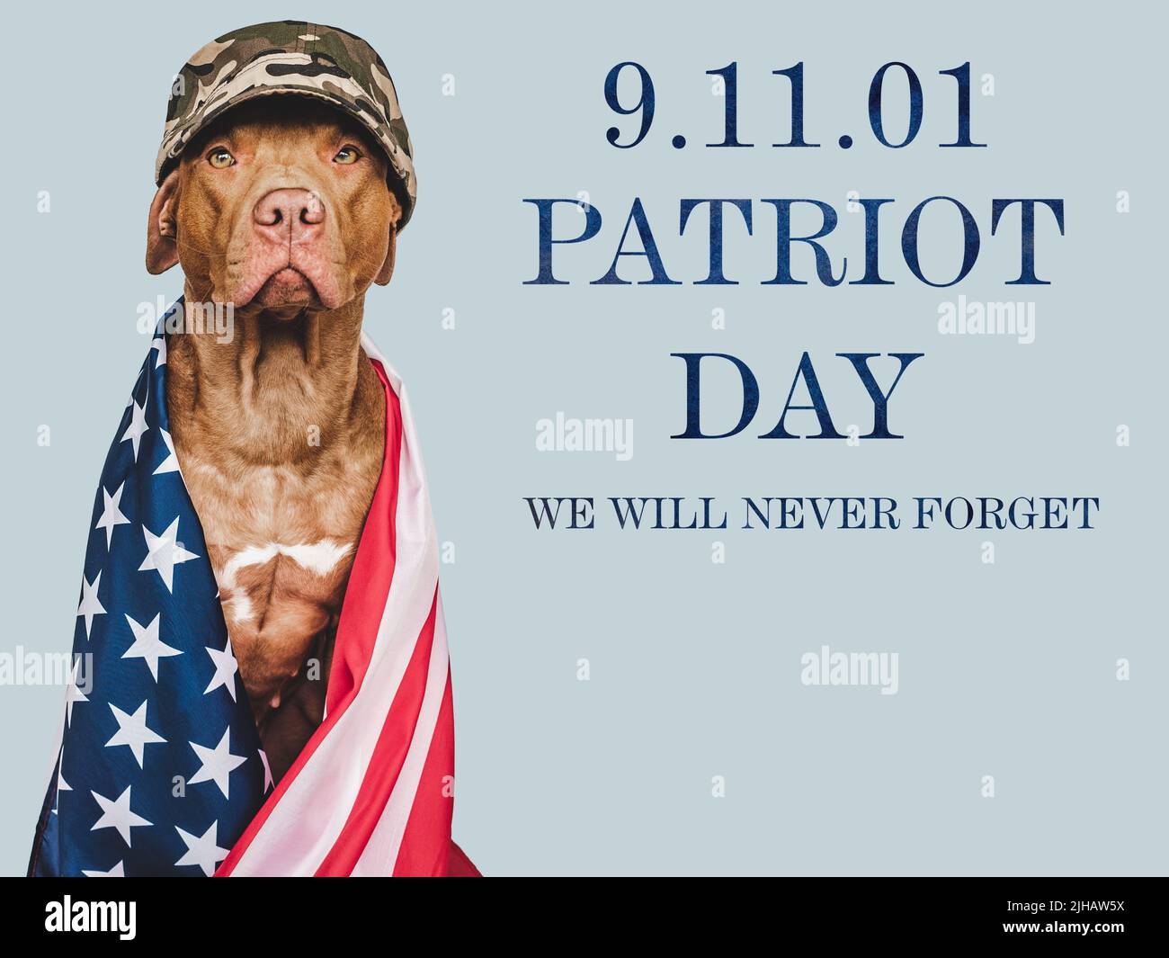 Patriot Day. We will never forget. Adorable puppy and American Flag ...