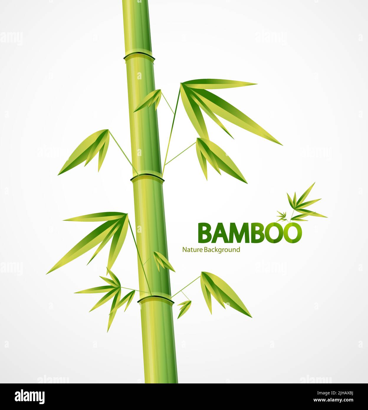 Bamboo stem design for your project Stock Vector Image & Art - Alamy