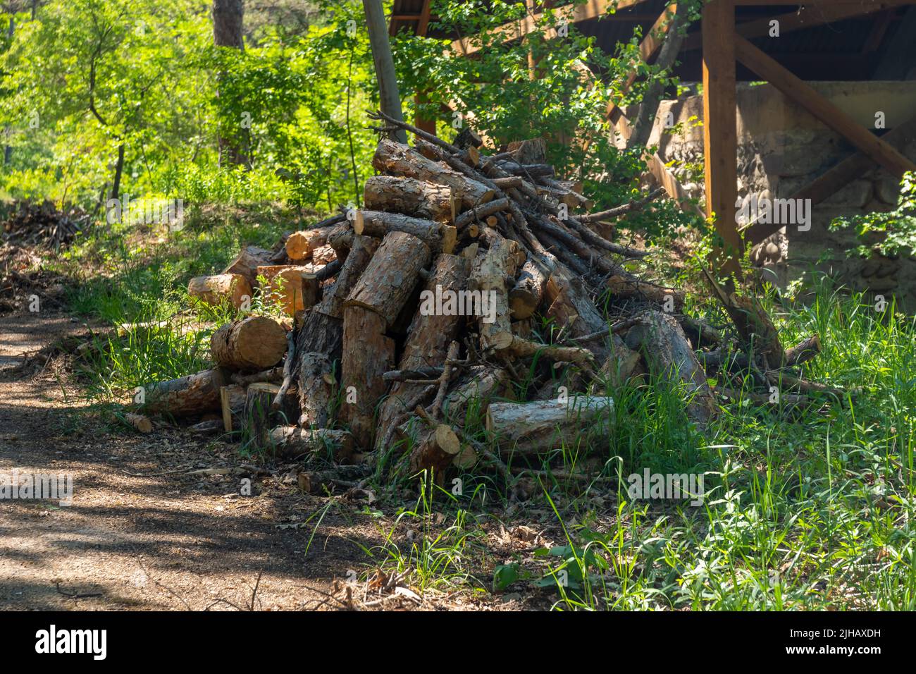 Preparation of firewood for the winter. firewood background, Stacks of ...
