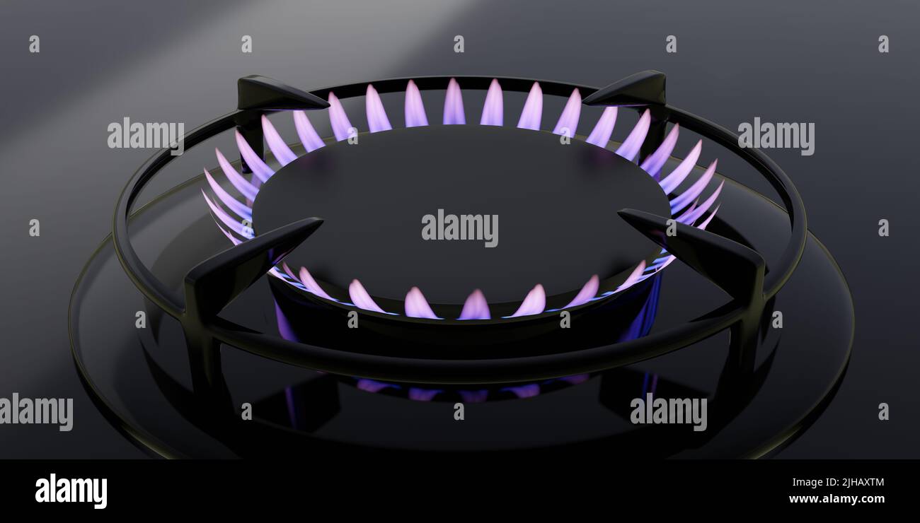 Burning gas cooker, domestic kitchen stove burner on dark background ...