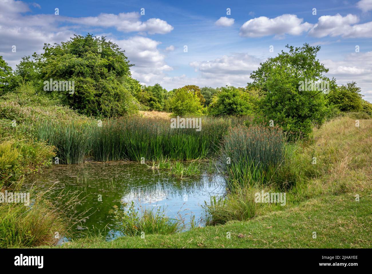 Bordesley Abbey Meadows surrounding the ruins in Redditch ...